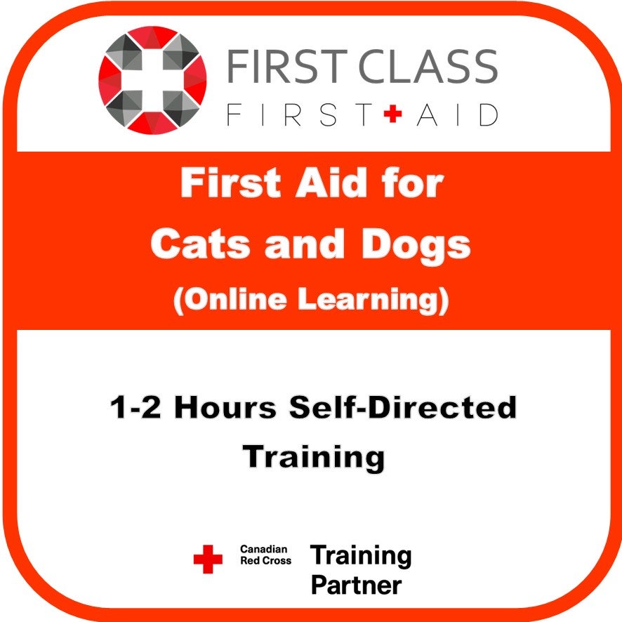 First Aid for Cats and Dogs | First Class First Aid Inc.